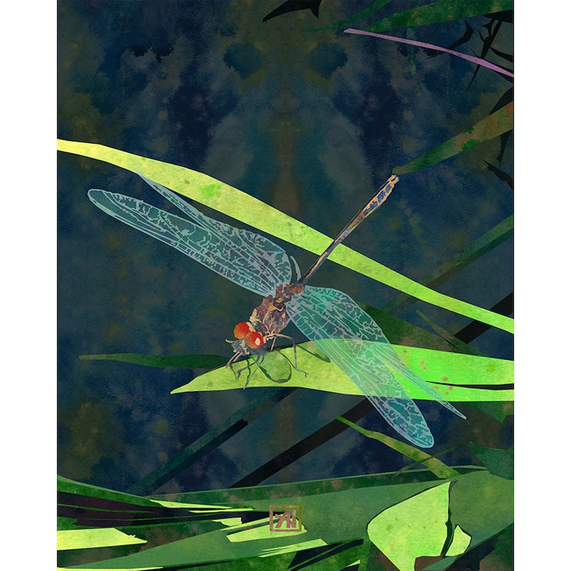 Dragonfly Art - Etsy