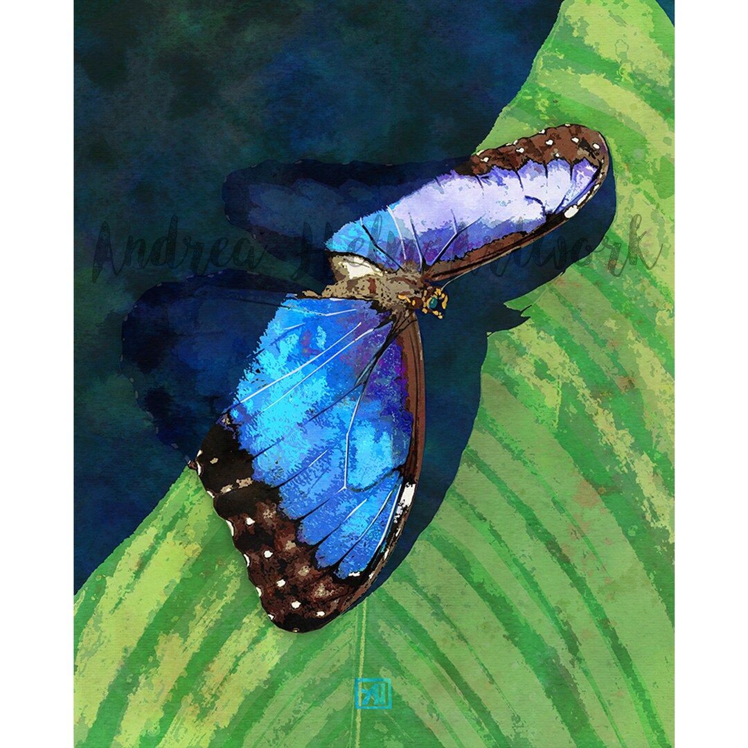 Blue Morpho Butterfly Art Print - Butterfly Wall Art | Modern Botanic ...