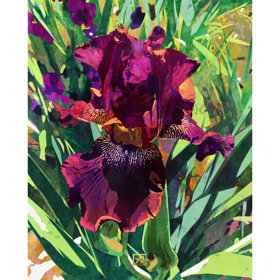 Purple Amethyst Iris Flower Art Print #2 - Bearded Irises Floral ...