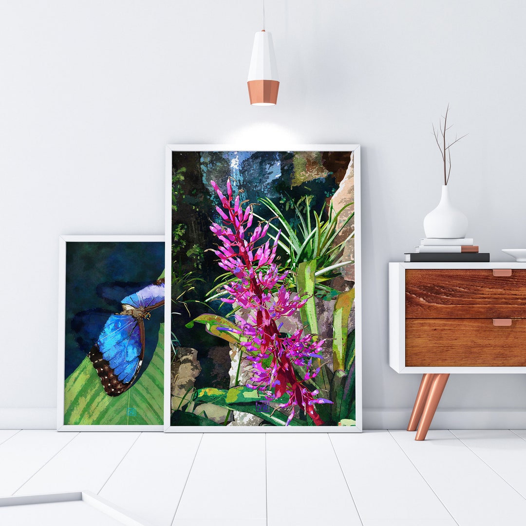 Portea Candy Botanical Illustration | Pink Floral Bromeliad - Modern ...