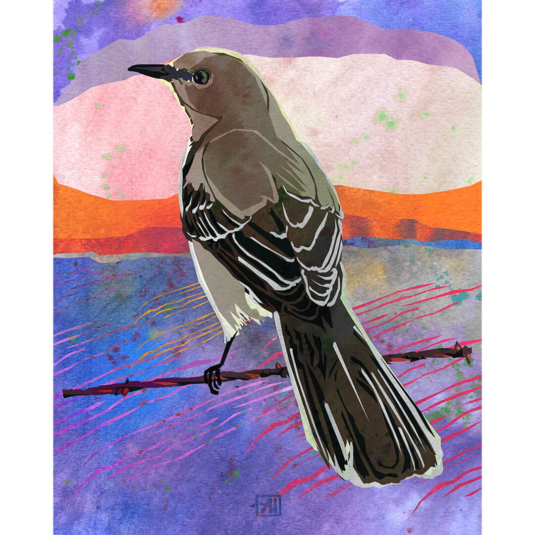 Mockingbird on a Wire Fence - Evening Sunset | Texas State Bird Art ...