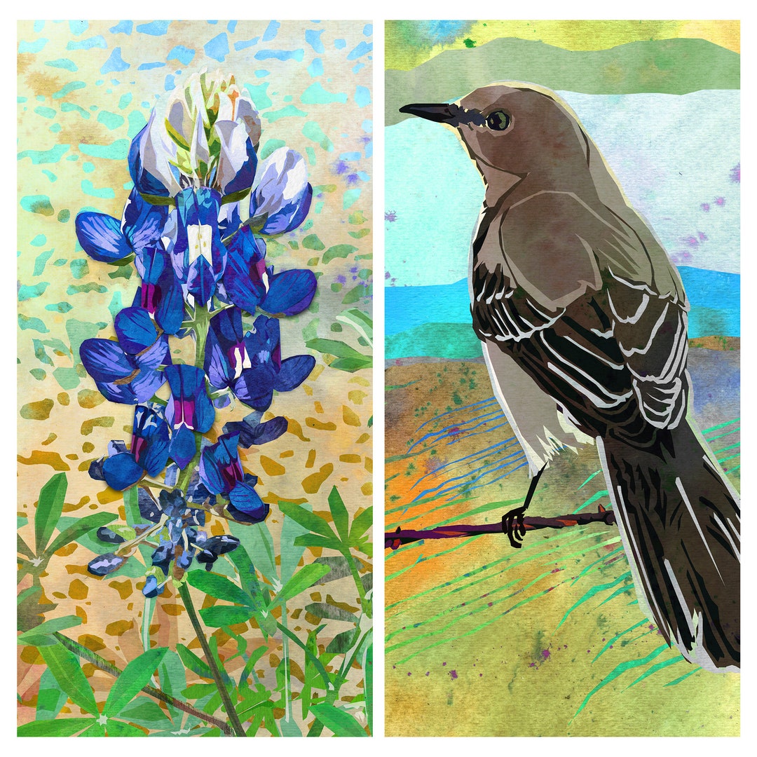 Mockingbird Note Card 10-pack - Sunrise & Sunset | Blank 5x7 Folded ...