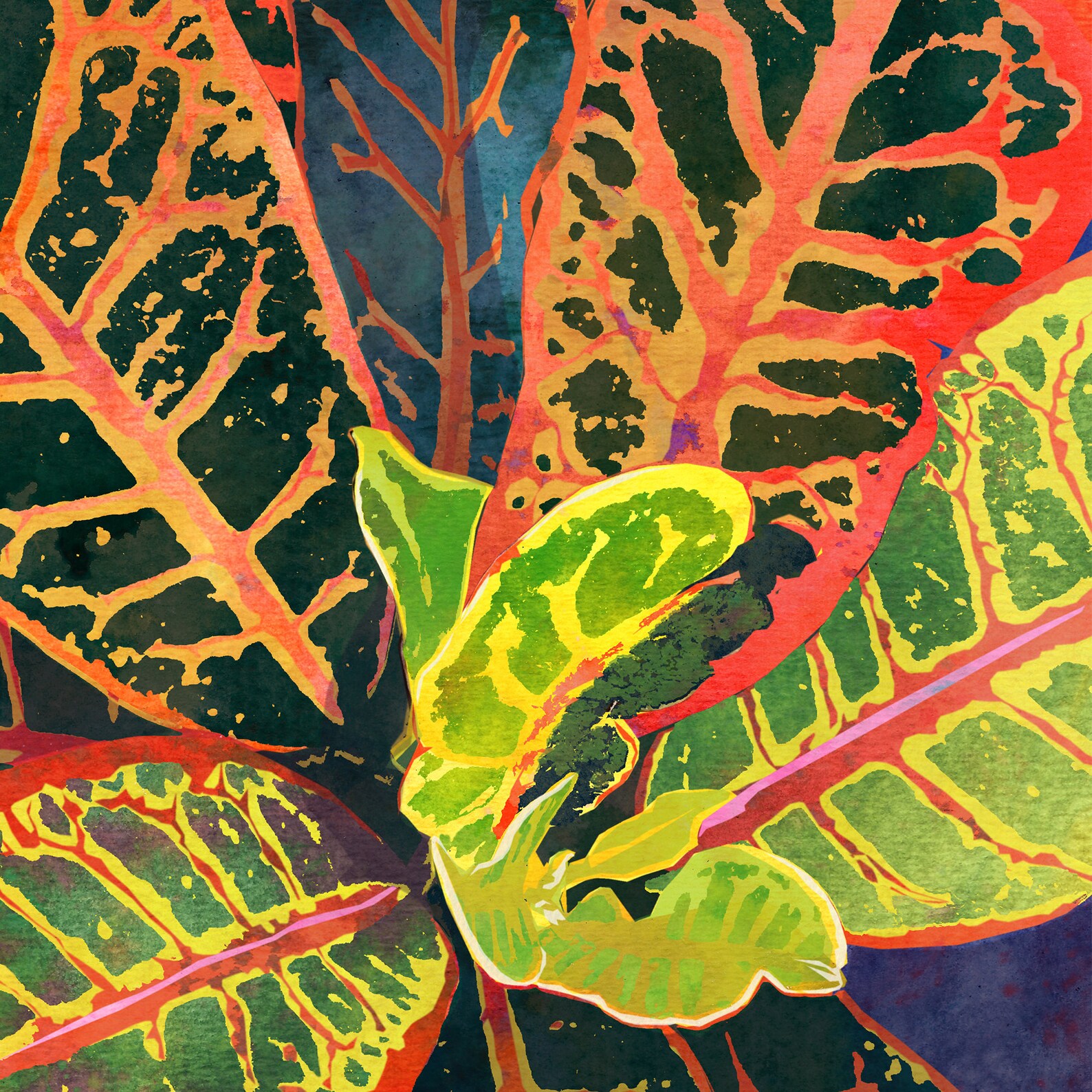 Coral Croton Tropical Plant Leaves Modern Garden Art Print | Etsy