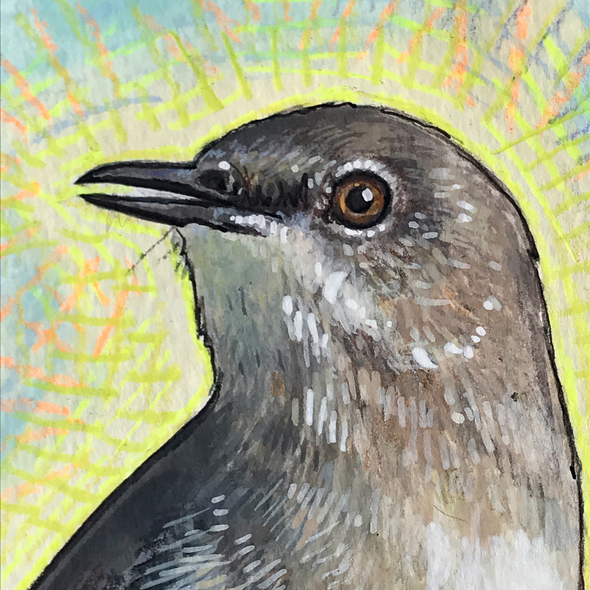 Northern Mockingbird Watercolor Painting 11x15 Texas State Bird ...