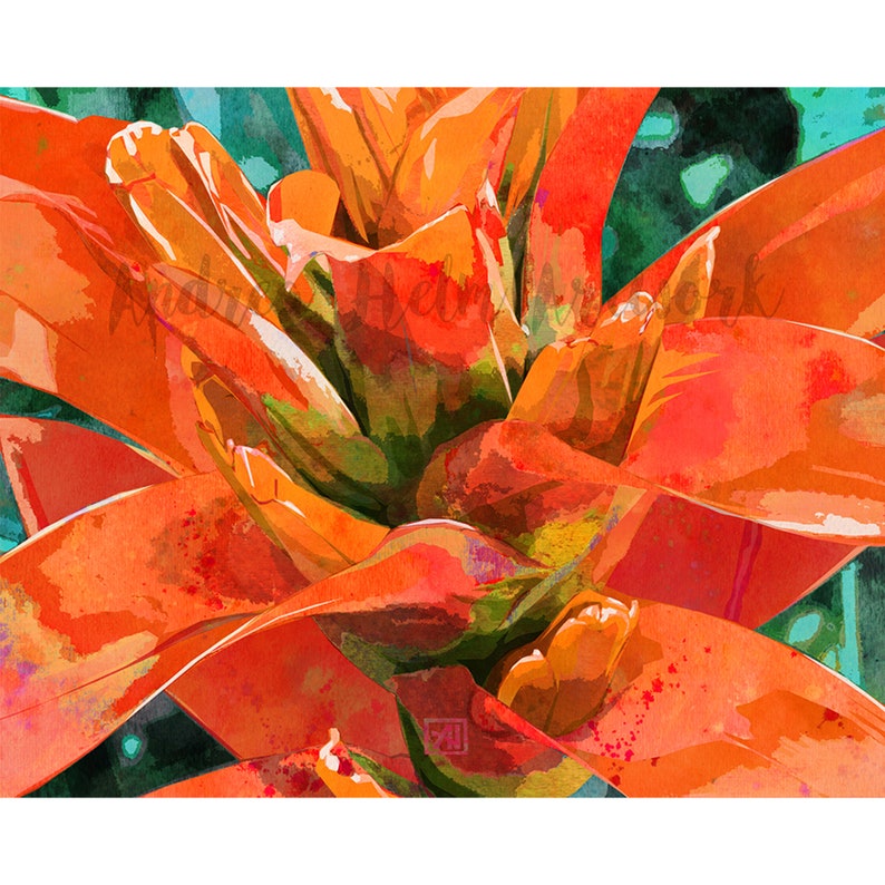 Blaze Orange Bromeliad Floral Portrait Tropical Plant Watercolor Art ...