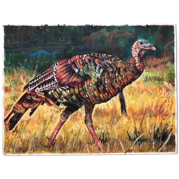 Turkey Bird Art - Etsy