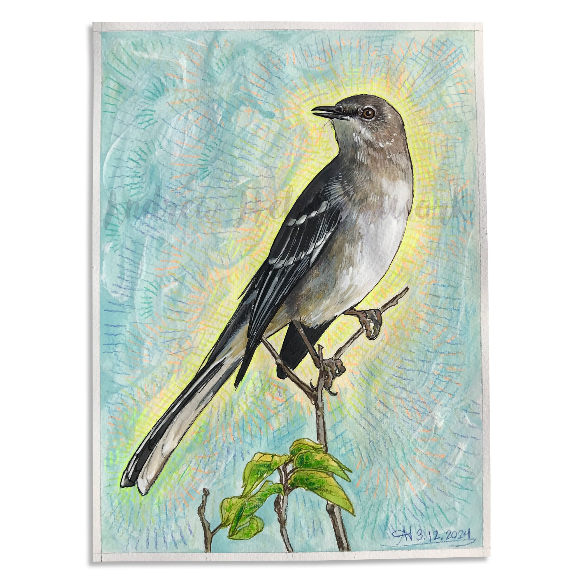 Northern Mockingbird Watercolor Painting 11x15 Texas State Bird ...