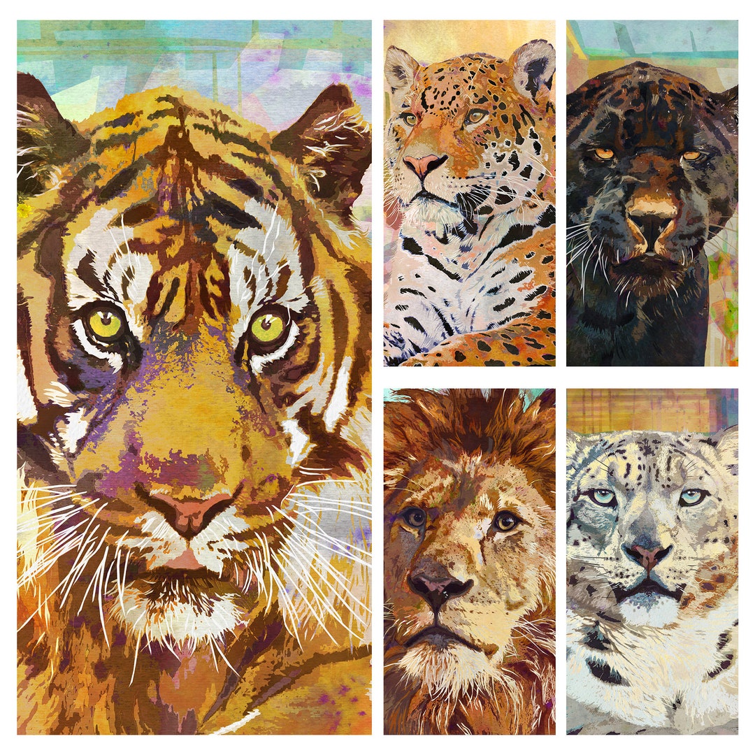 Big Cats Note Card Collection | Limited Edition 10-pack of 5 ...