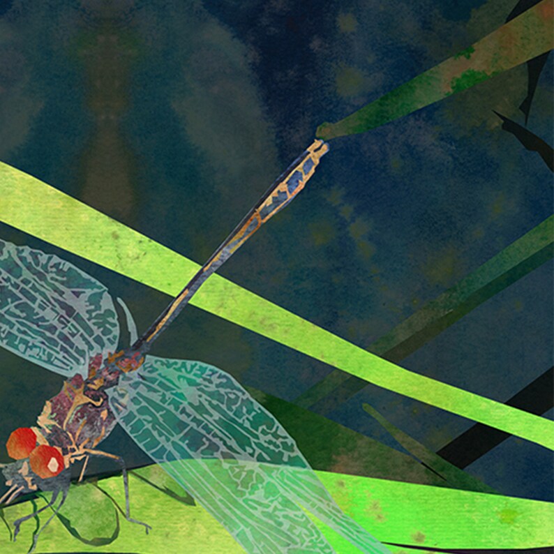 Green Dragonfly Pond Illustration Watercolor Dragonfly Art - Etsy