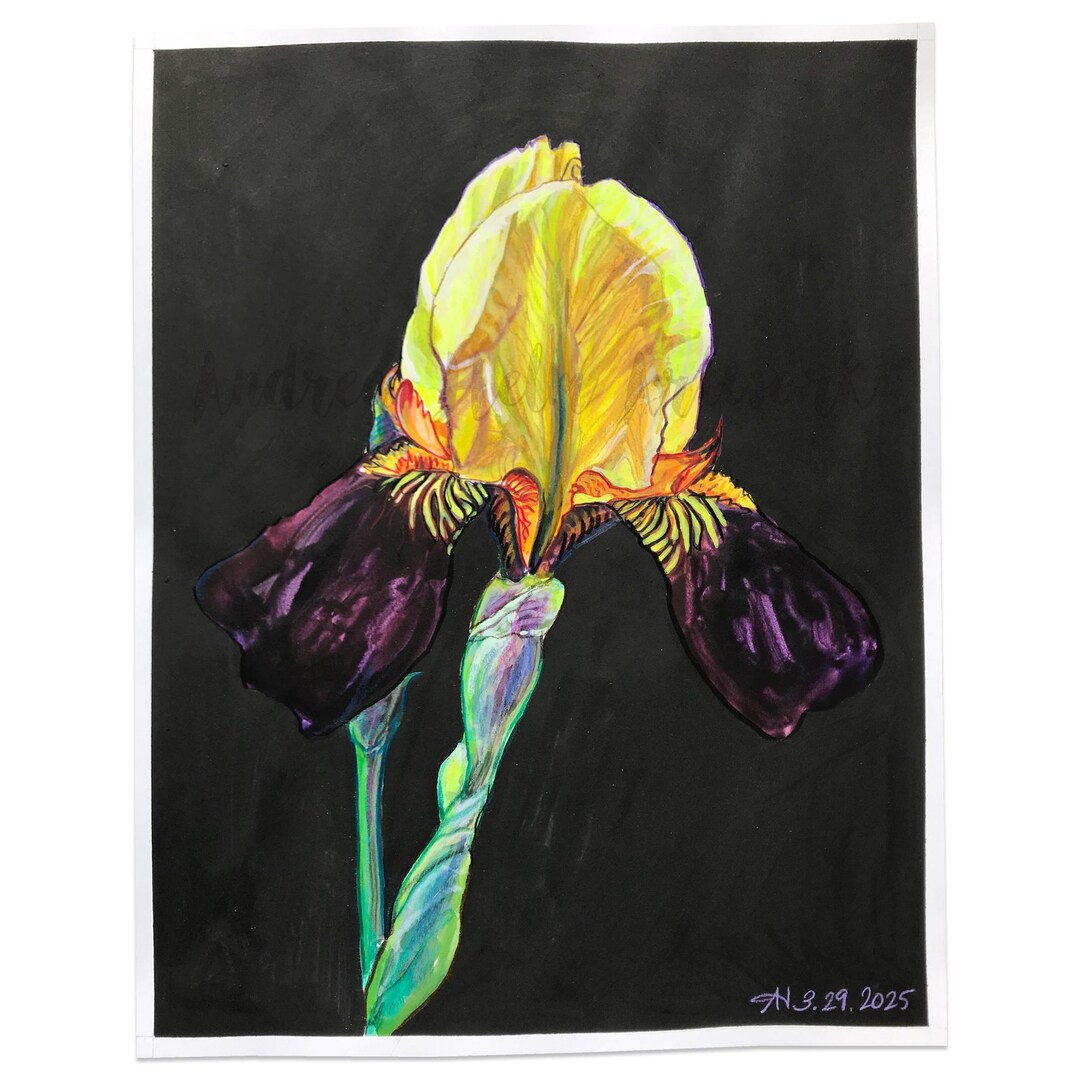 Modern Iris Portrait 5 - 11x14 Yellow & Purple Iris Watercolor Painting ...