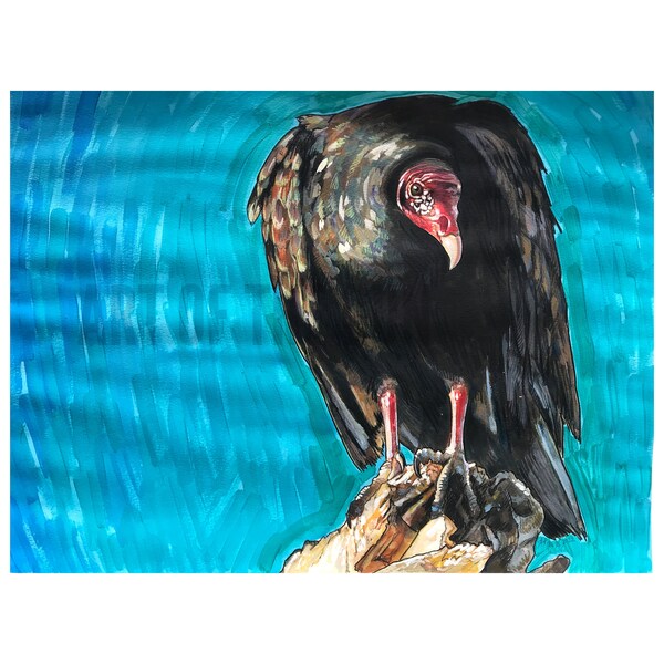 Buzzard Art - Etsy