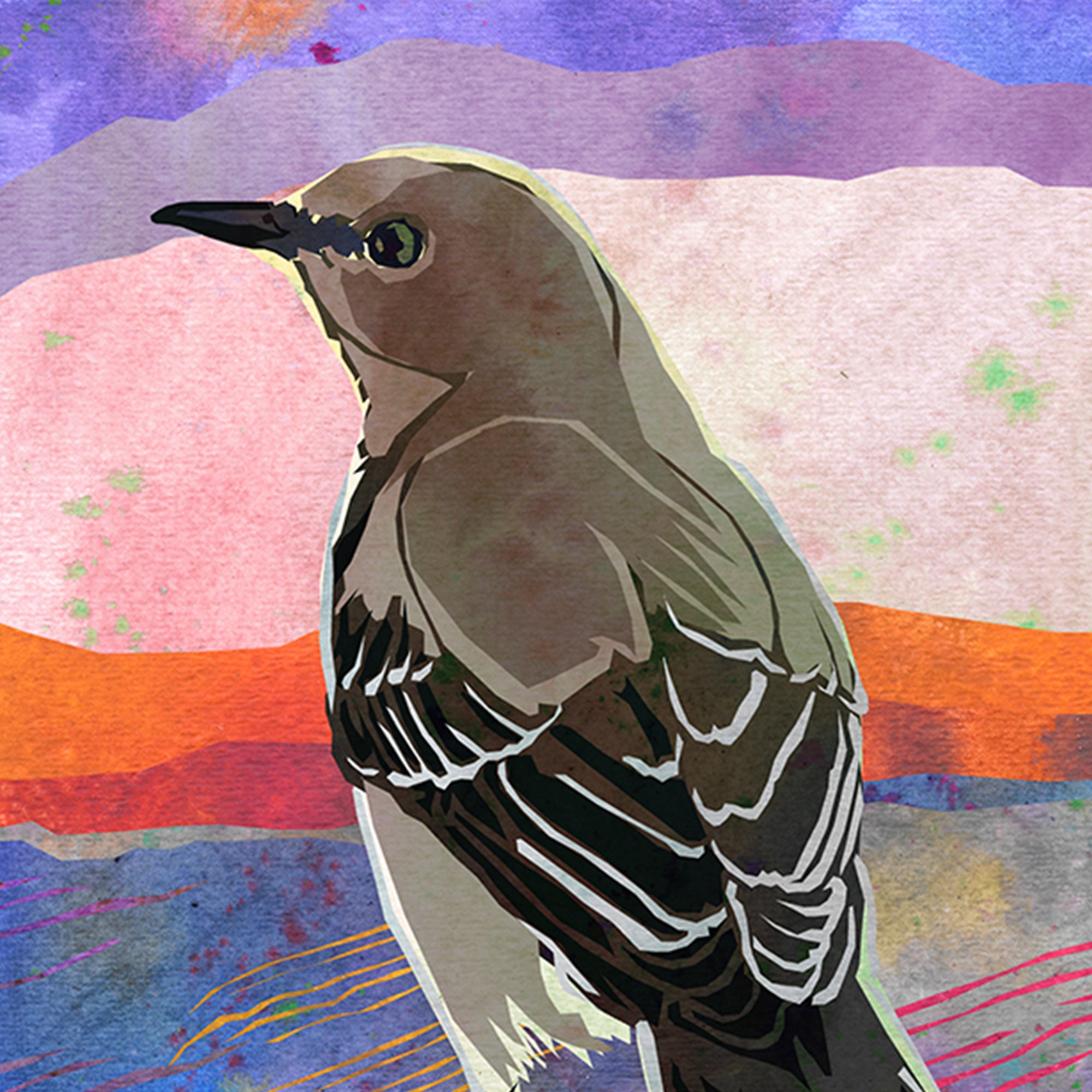 Mockingbird on a Wire Fence - Evening Sunset | Texas State Bird Art ...