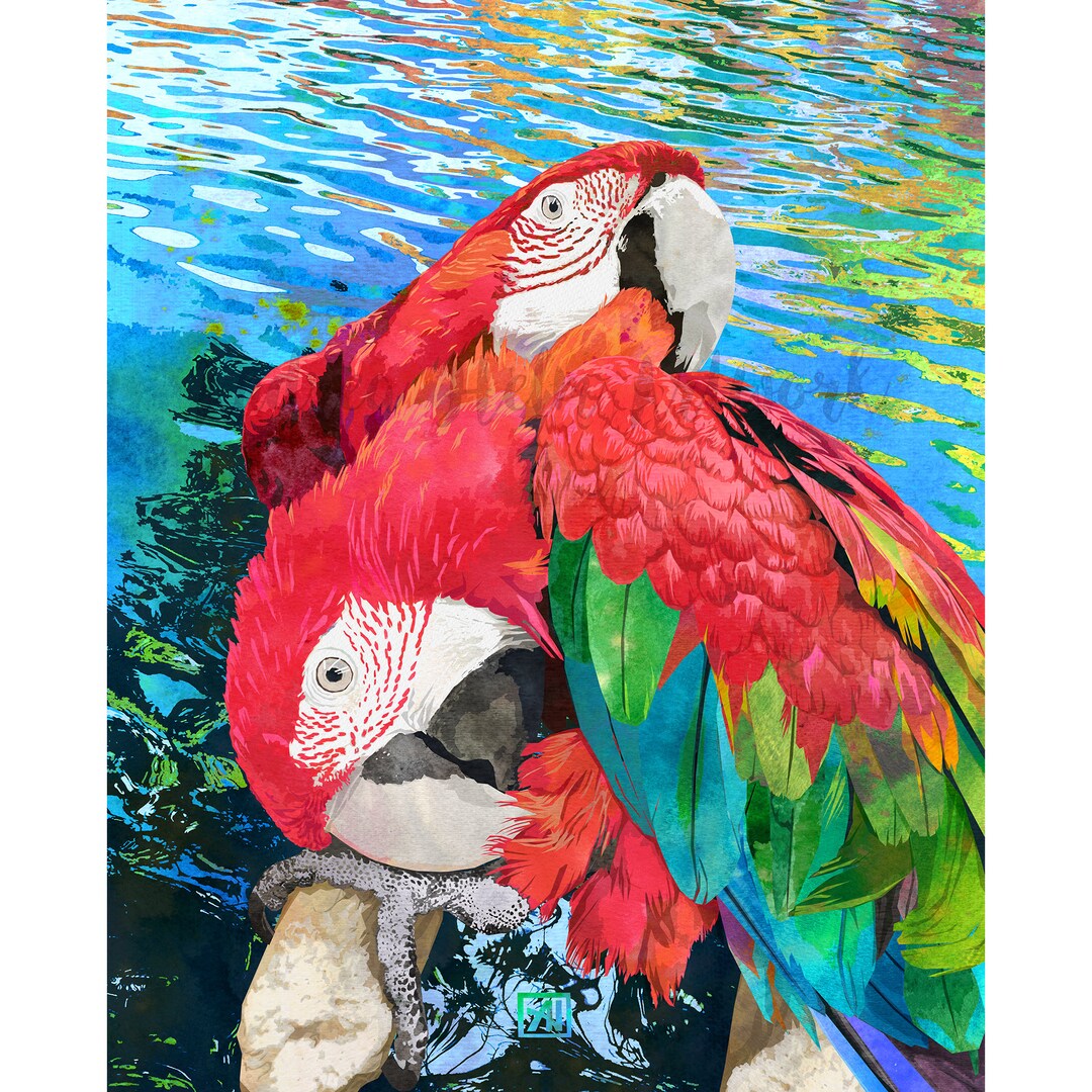 Green Winged Macaws - A Colorful Conversation | Macaw Art Print ...