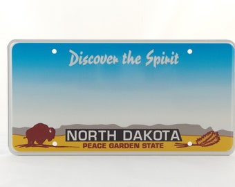 USF South Florida Bulls Mirrored Chrome License Plate Tag - Etsy