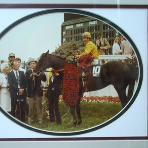 Swale Frame Photo of SWALE Thoroughbred Race Horse Winner of the 1984 ...