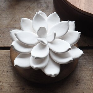 Essential Oil Diffuser, Air Freshener Star Flower, Made of Wood and ...