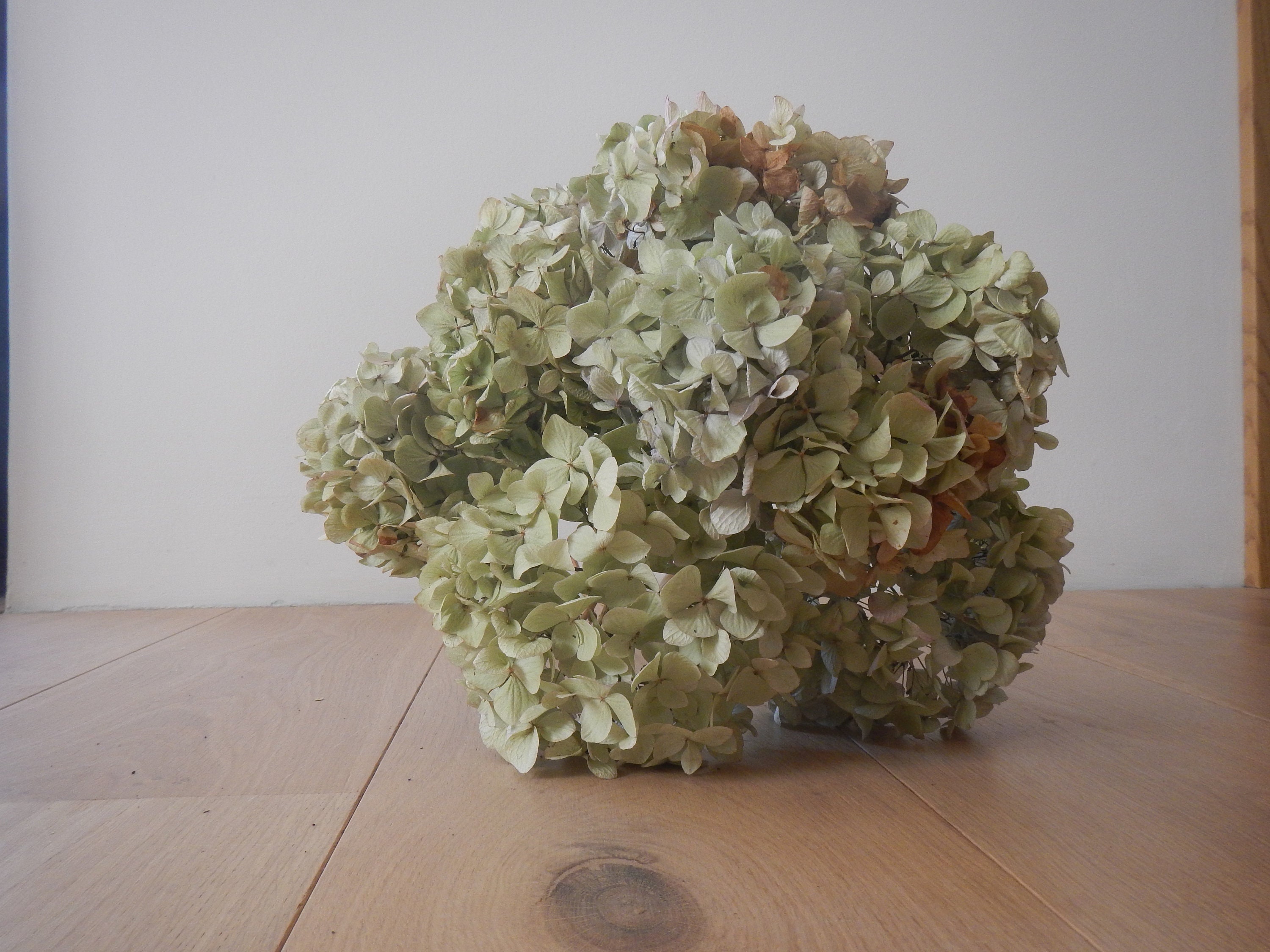 Home Décor 8 Dried Hydrangea Flowers bouquet primitive rustic bouquet ...
