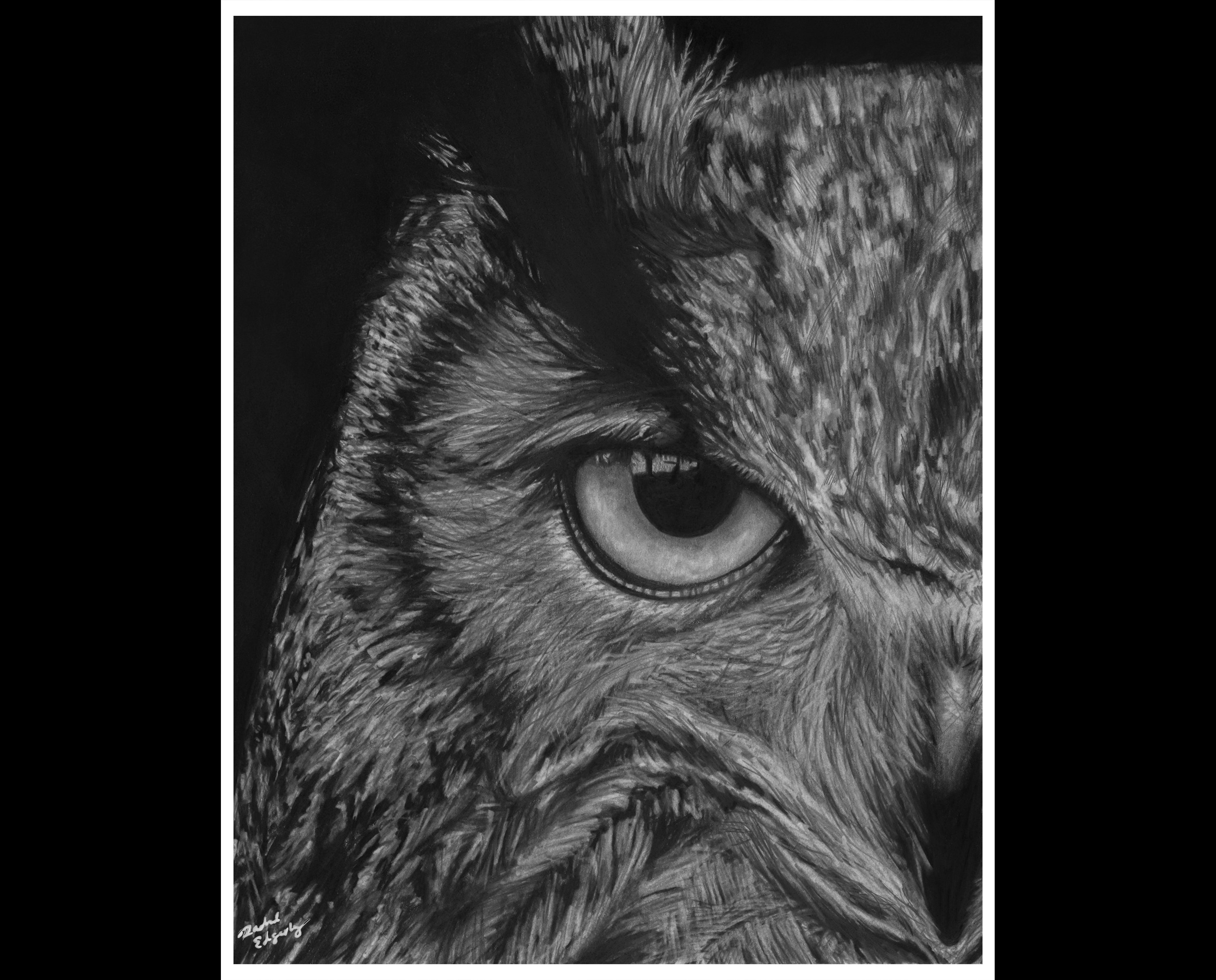 Great Horned Owl Graphite Drawing Print - Etsy