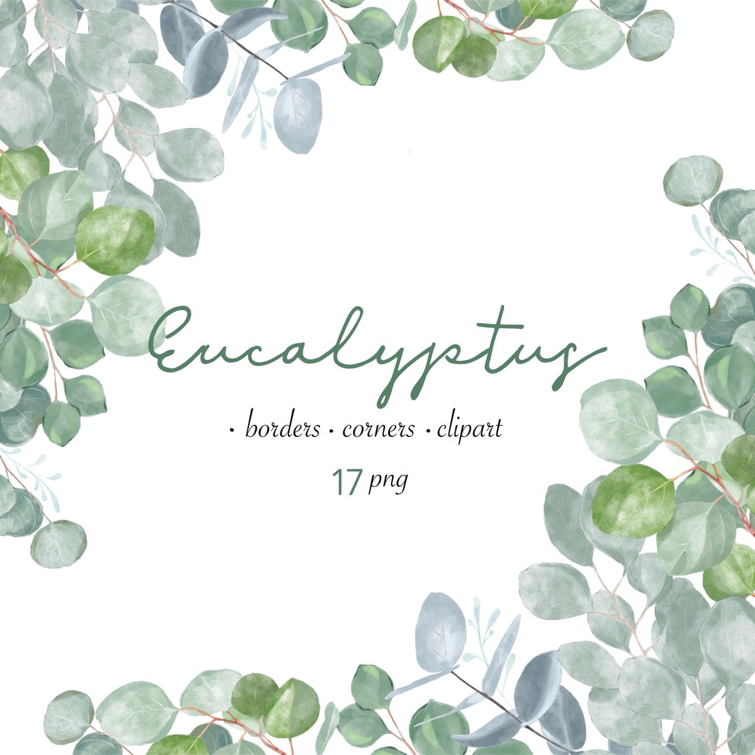 Watercolor Eucalyptus Borders for Baby Shower, Eucalyptus Frames for ...