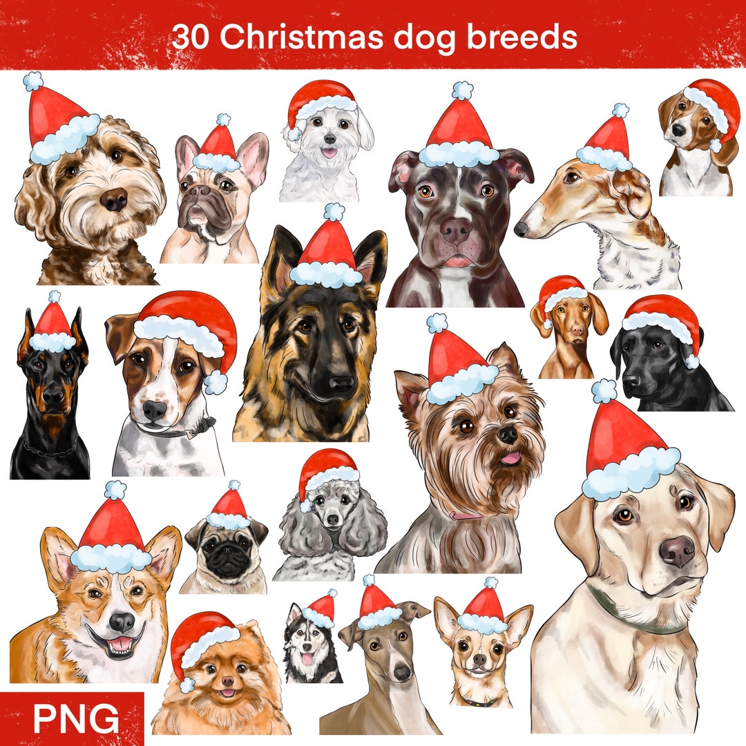 Christmas Dog Breeds Clipart Santa Hat Dog Portraits Png - Etsy