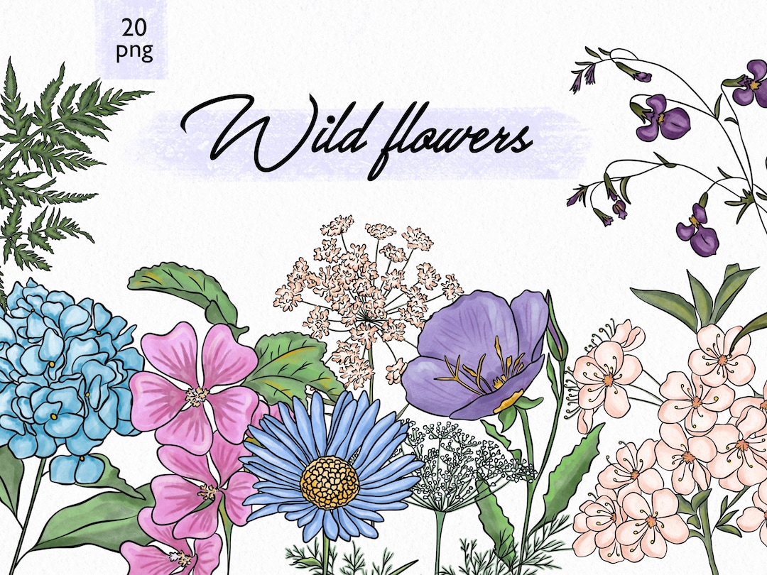 Wildblumen Aquarell Clipart Wildblumen png Wiesenblumen - Etsy.de