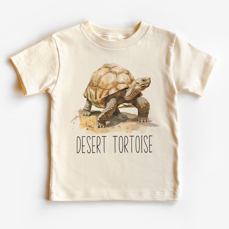 Clothing for Tortoises - Etsy