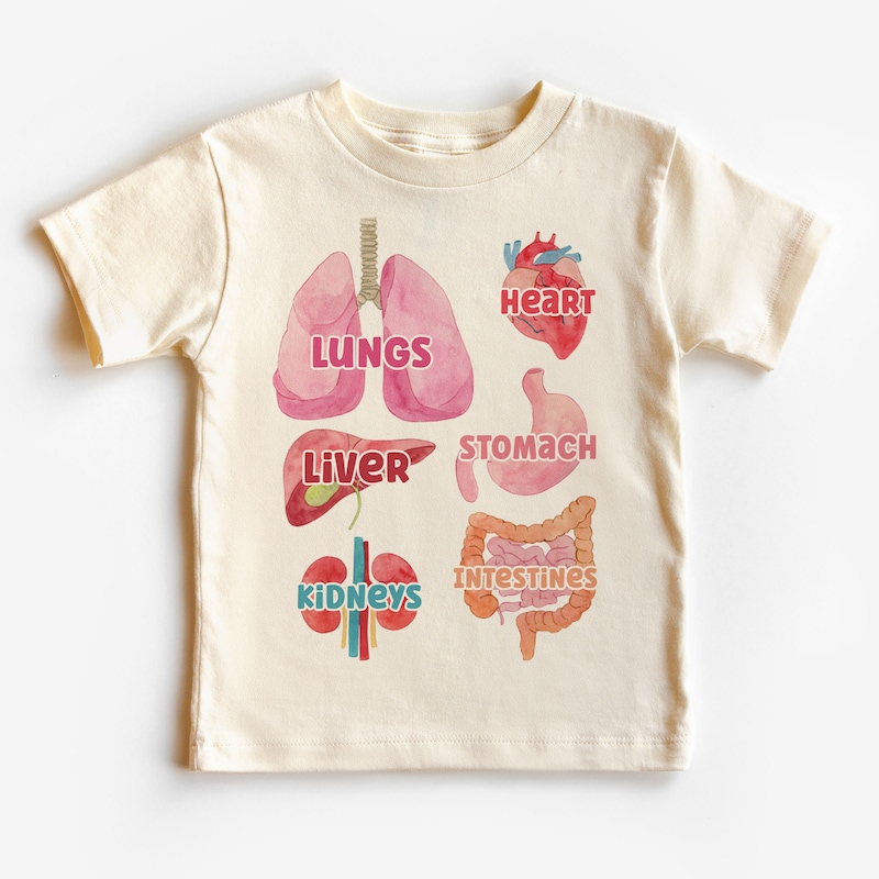 Toddler Anatomy Shirt - Etsy