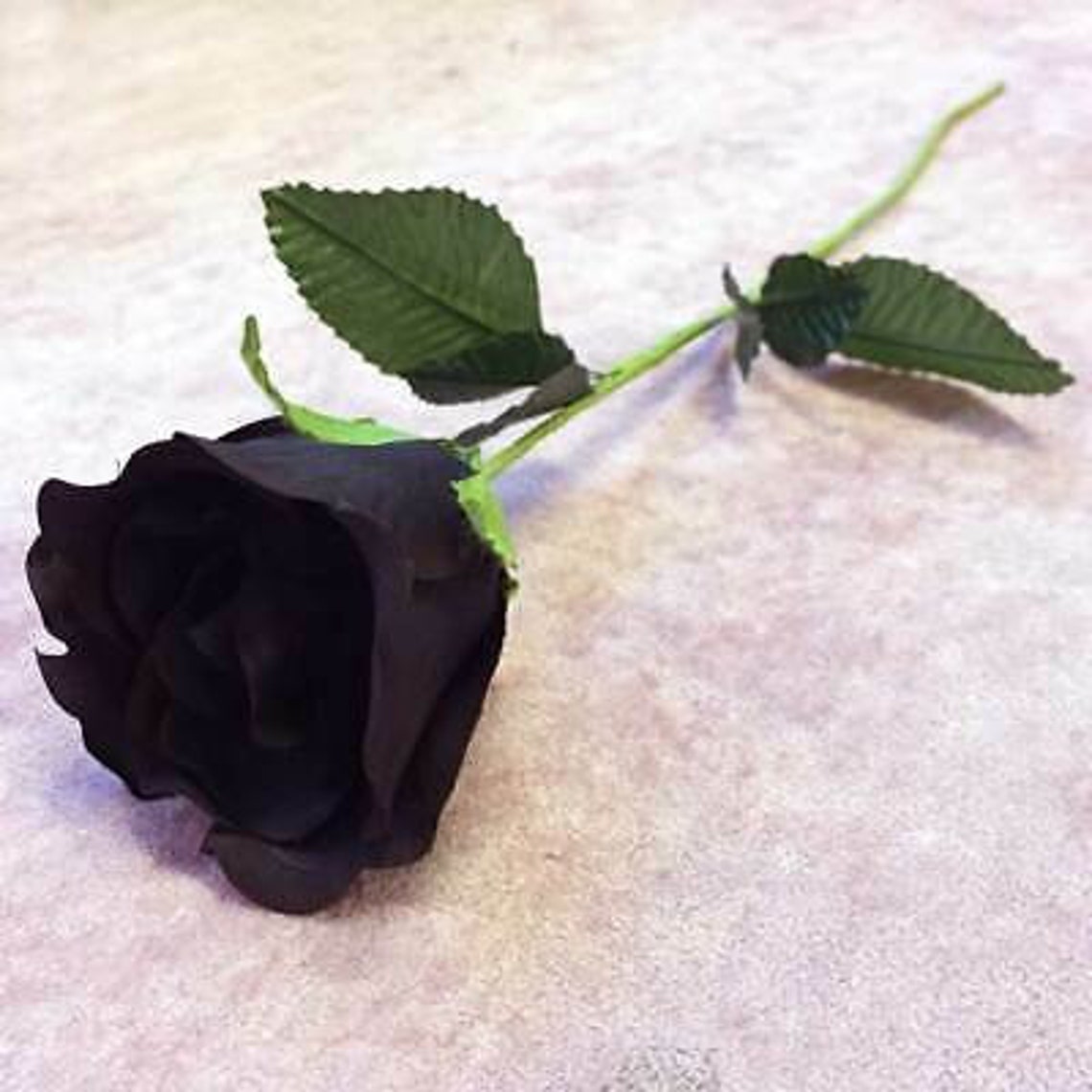 10 Seeds Black Rose Flower Rare Amazingly Beautiful Seed - Etsy