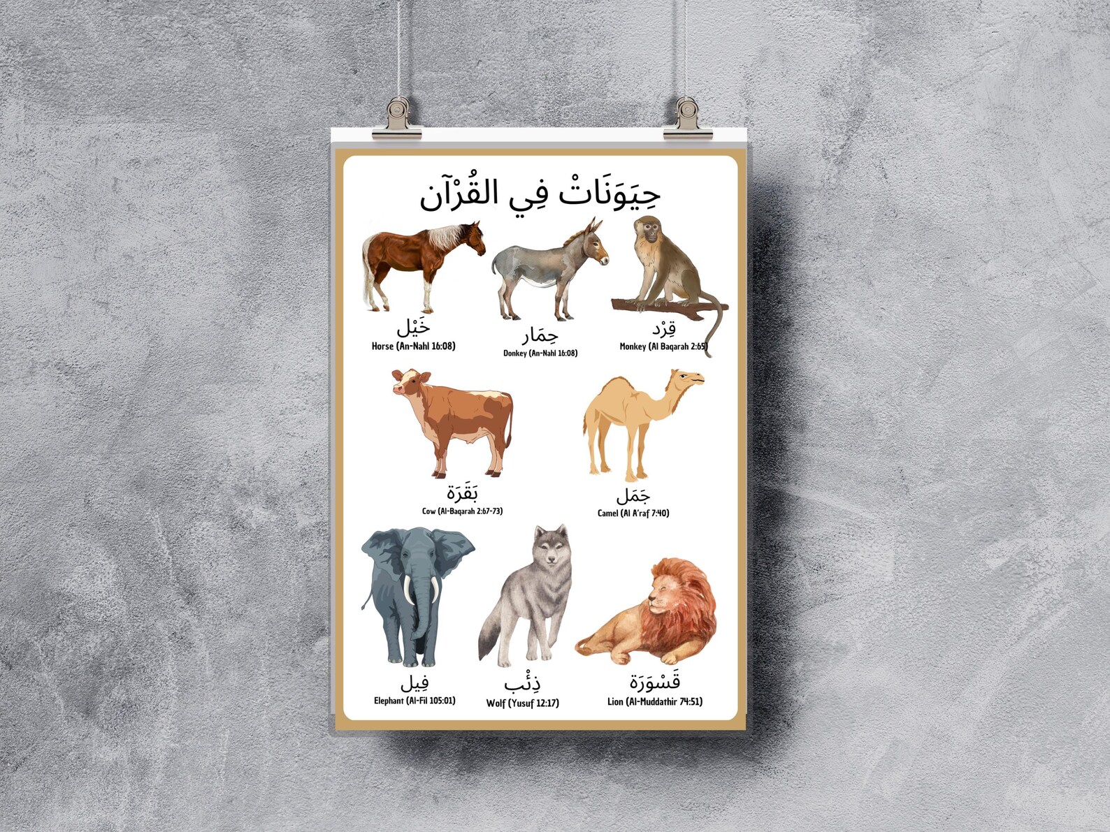 Animals Mentioned in the Quran | Bundle of Two Arabic Educational ...