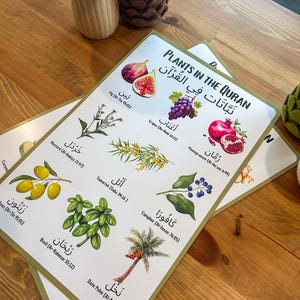 Plants in the Quran Poster Set in Arabic | Top Seller - Etsy