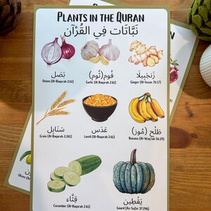 Plants in the Quran Poster Set in Arabic | Top Seller - Etsy