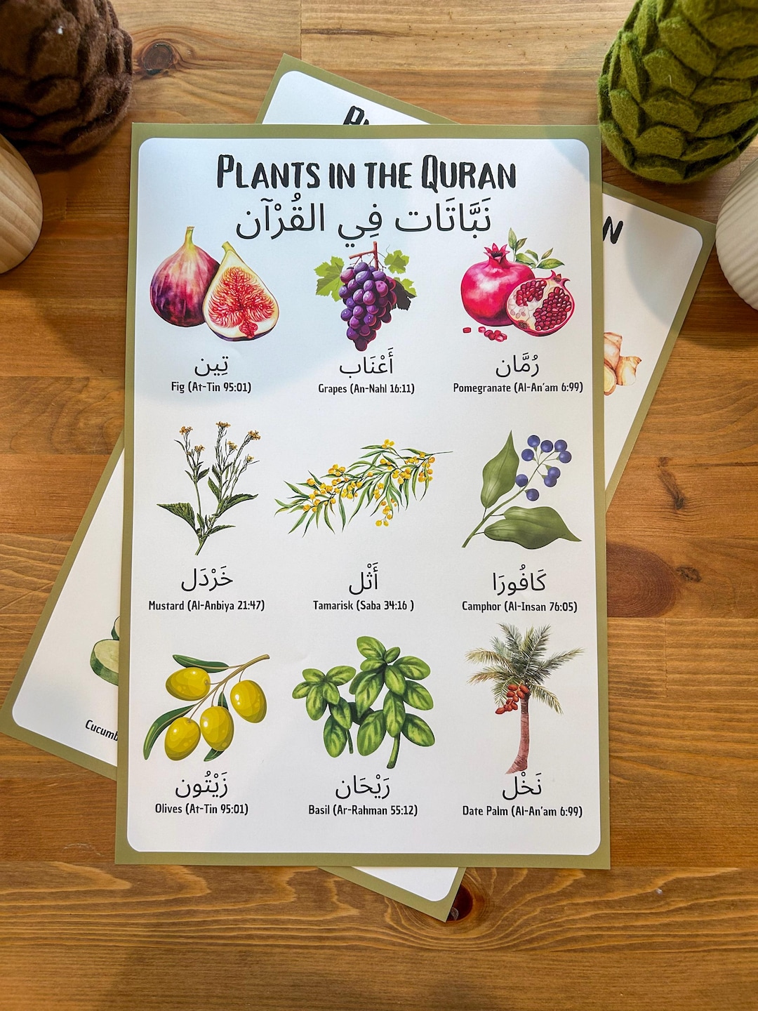 Plants in the Quran Poster Set in Arabic | Top Seller - Etsy
