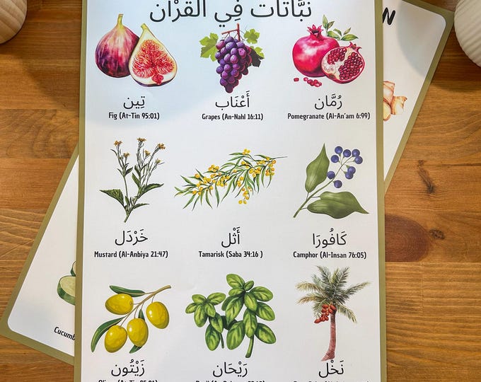 Plants in the Quran Poster Set in Arabic | Top Seller - Etsy