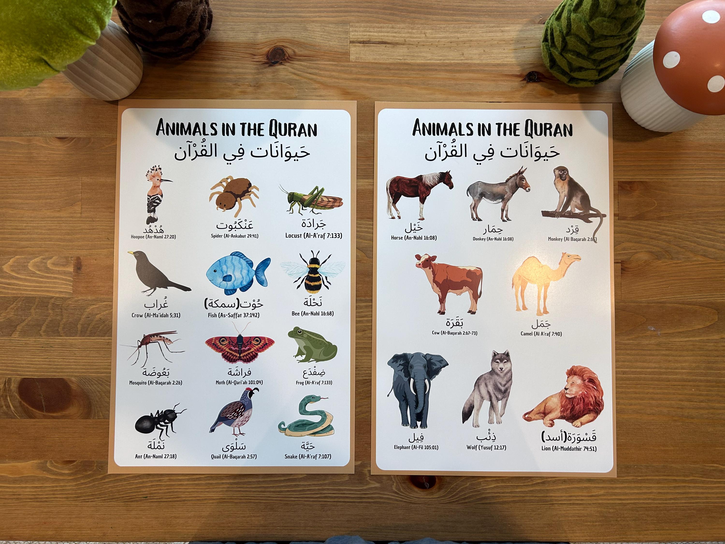 Animals in the Quran Poster Set in Arabic | Top Seller - Etsy
