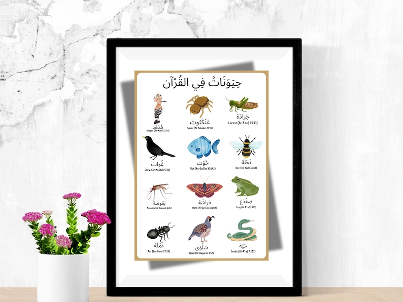 Animals Mentioned in the Quran | Bundle of Two Arabic Educational ...
