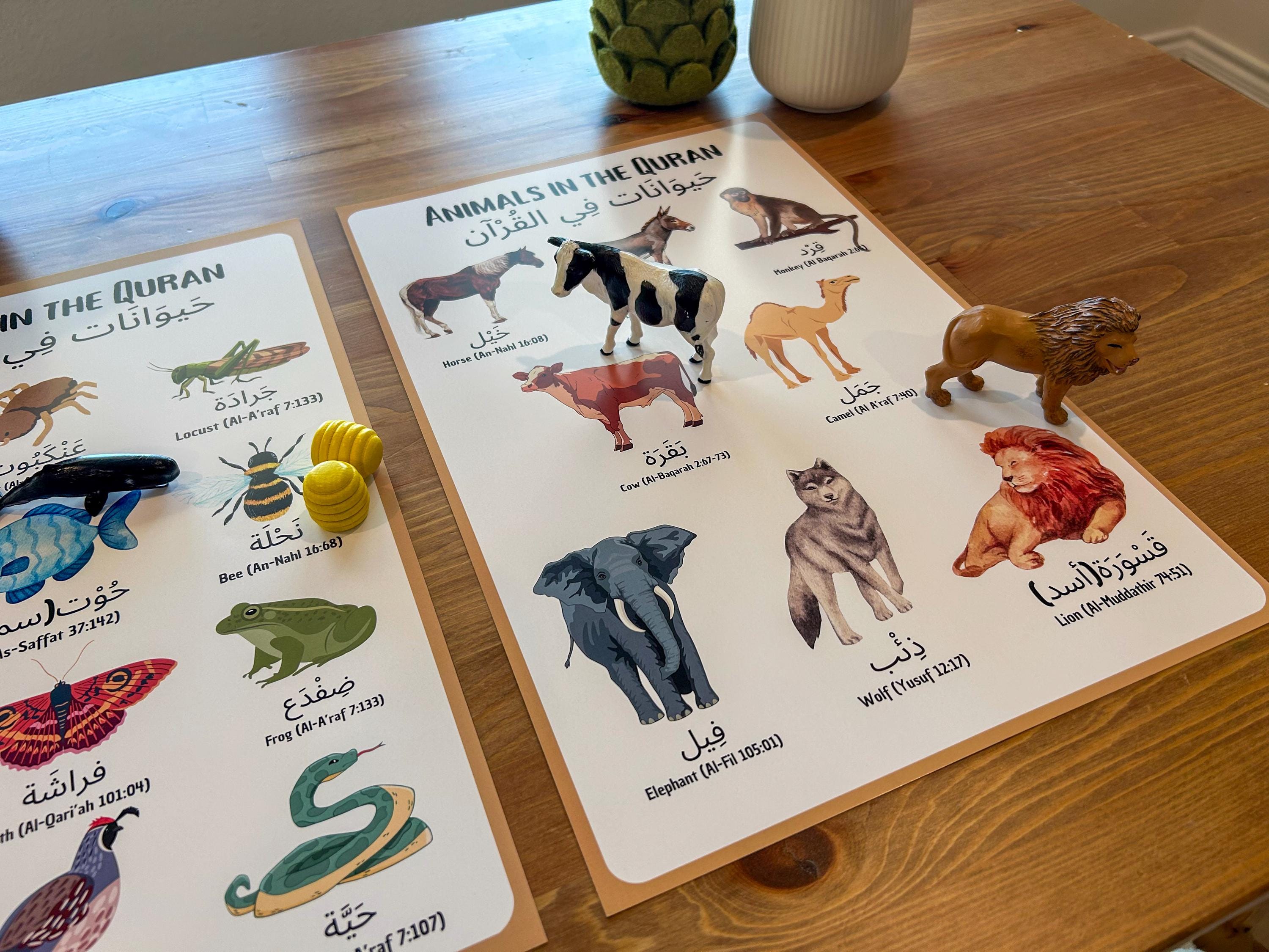 Animals in the Quran Poster Set in Arabic | Top Seller - Etsy