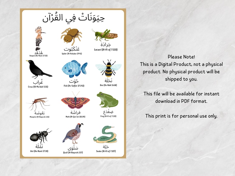 Animals Mentioned in the Quran | Bundle of Two Arabic Educational ...
