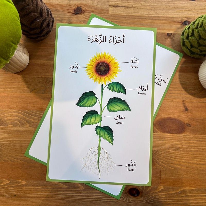 Arabic Language Poster - Etsy