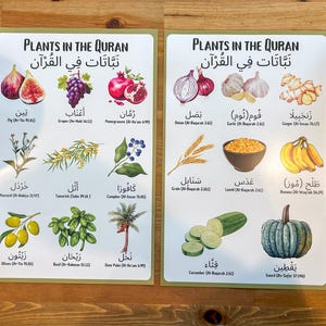 Plants in the Quran Poster Set in Arabic | Top Seller - Etsy