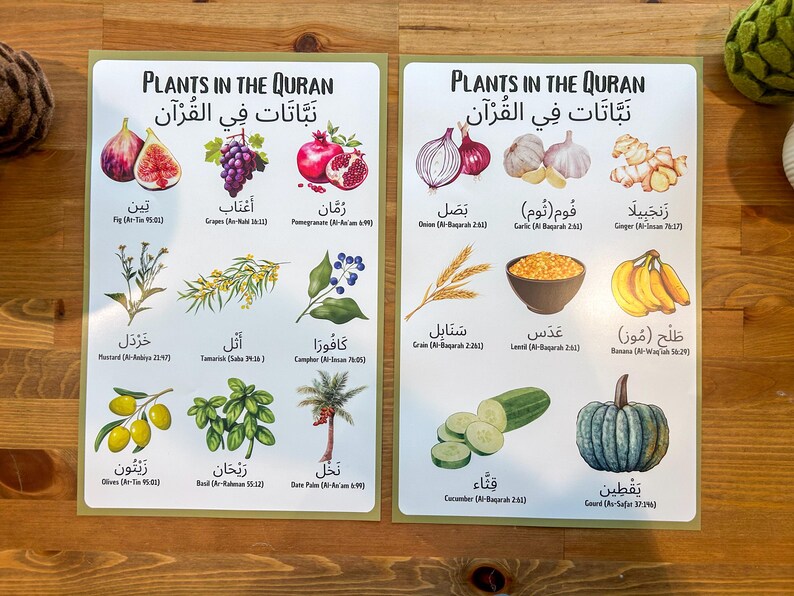 Plants in the Quran Poster Set in Arabic | Top Seller - Etsy