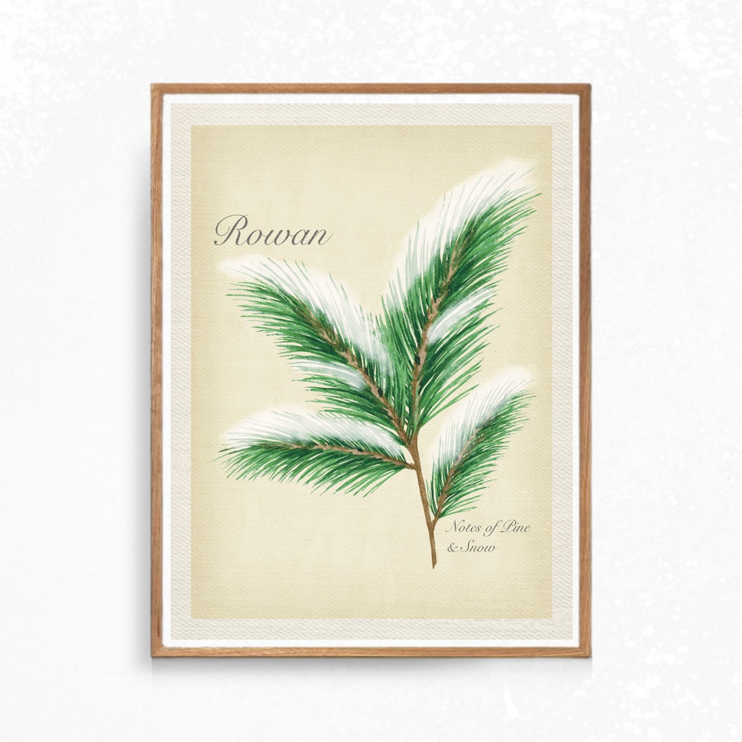 BOOK BOYFRIEND - Rowan - Digital Download - Sarah J. Maas Art - Throne ...