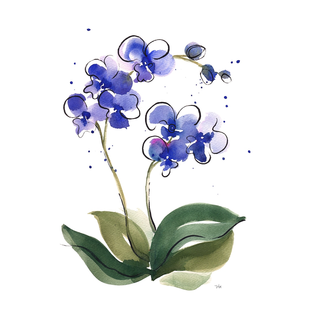 Blue Orchids – Watercolor Art Print - Etsy