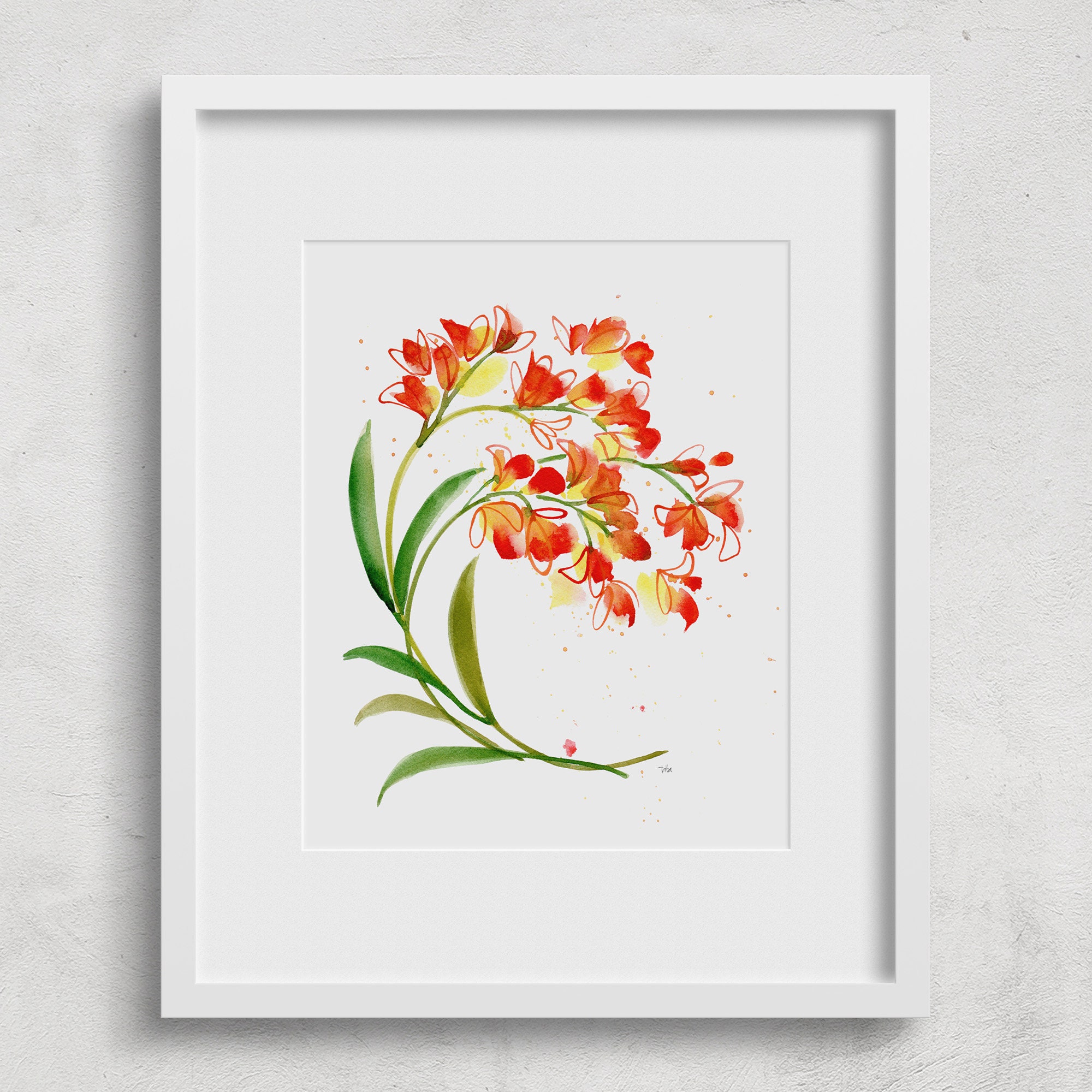 Colorful Crocosmia – Watercolor Art Print - Etsy