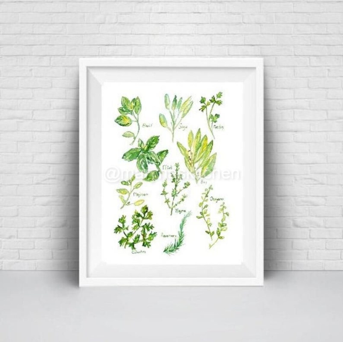 Types of Herbs Wall Poster Watercolor Spice Kitchen Parsley Decor ...
