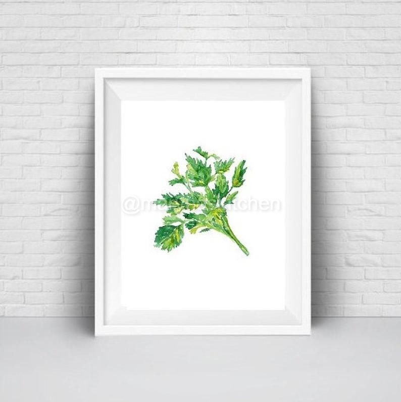 Parsley Wall Poster Herb Watercolor Spice Types Kitchen Decor Vegetabe ...