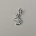 Passion Pizza Pandora Sterling Silver With CZ Charm - Etsy