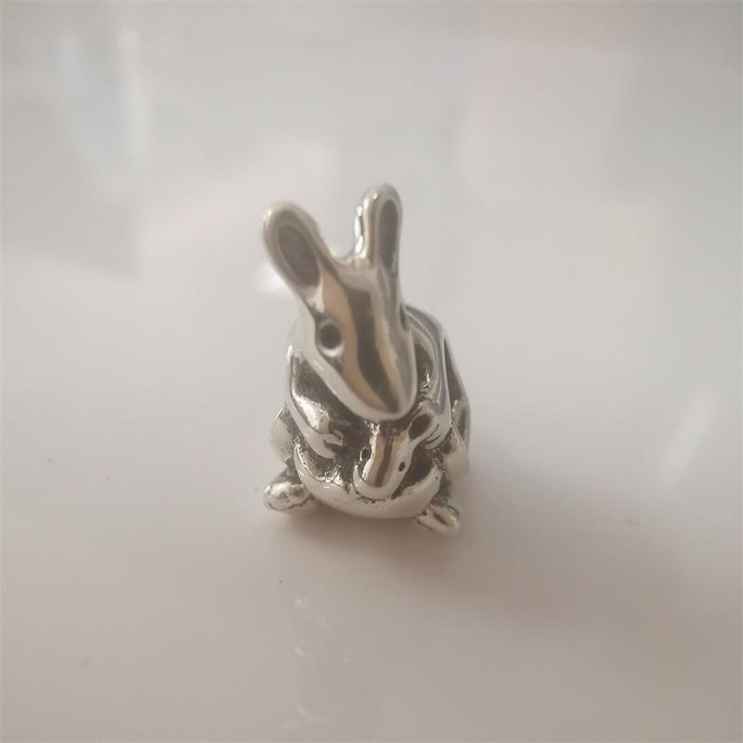 Pandora Charm - Kangaroo Mum and Baby & Pouch S925 Ale - Etsy