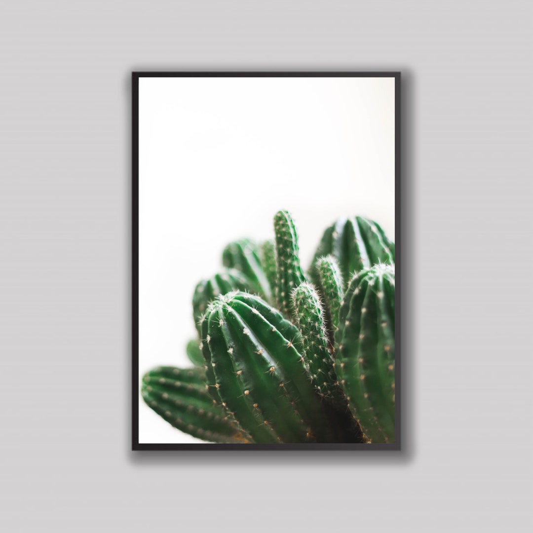 CACTUS POSTER PRINT 2 | Digital Download | Poster | Art | Home Decor - Etsy