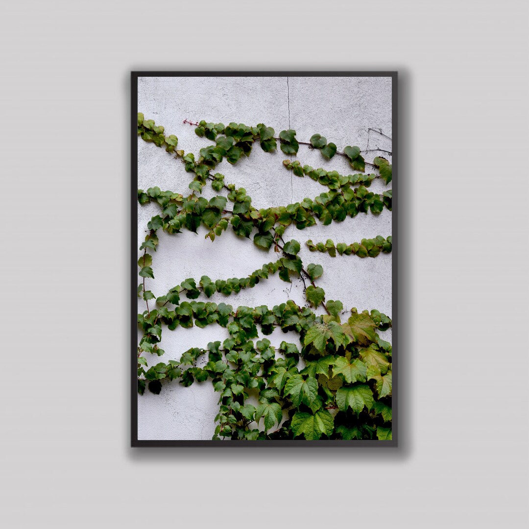 VINE POSTER PRINT | Digital Download | Poster | Art | Home Decor - Etsy
