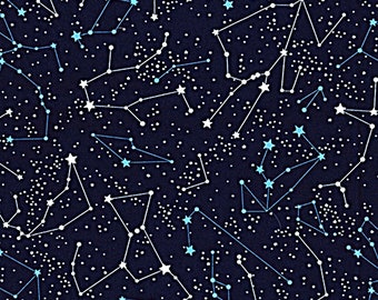 Astronomy Constellation Fabric Galaxy Glitter Night Sky by Litlnemo ...